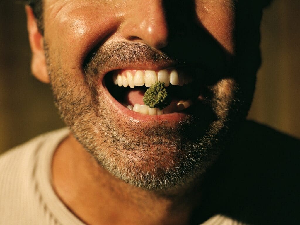 🌿 Higher Collective Torrington | Best Cannabis, Vapes & Edibles